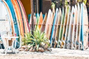 What Are The Different Parts of a Surfboard?