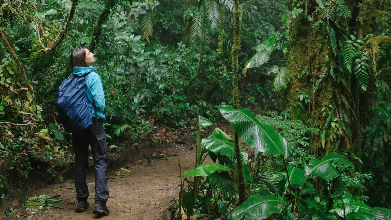 10 Best Things To Do In Monteverde Cloud Forest - Rapture Surfcamps